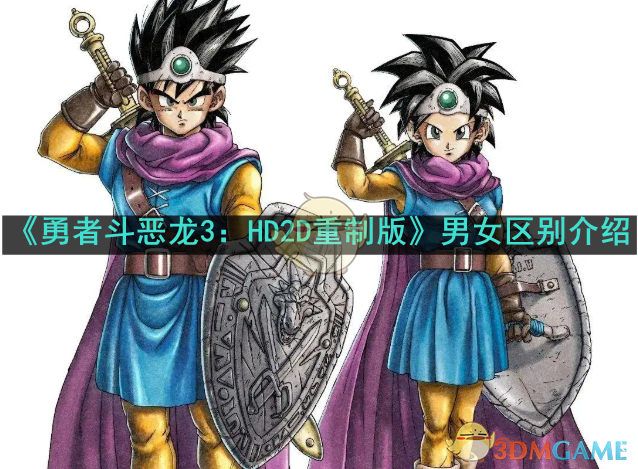 《勇者斗恶龙3：HD2D重制版》男女区别介绍-勇者斗恶龙3：hd2d游戏攻略推荐-攻略库